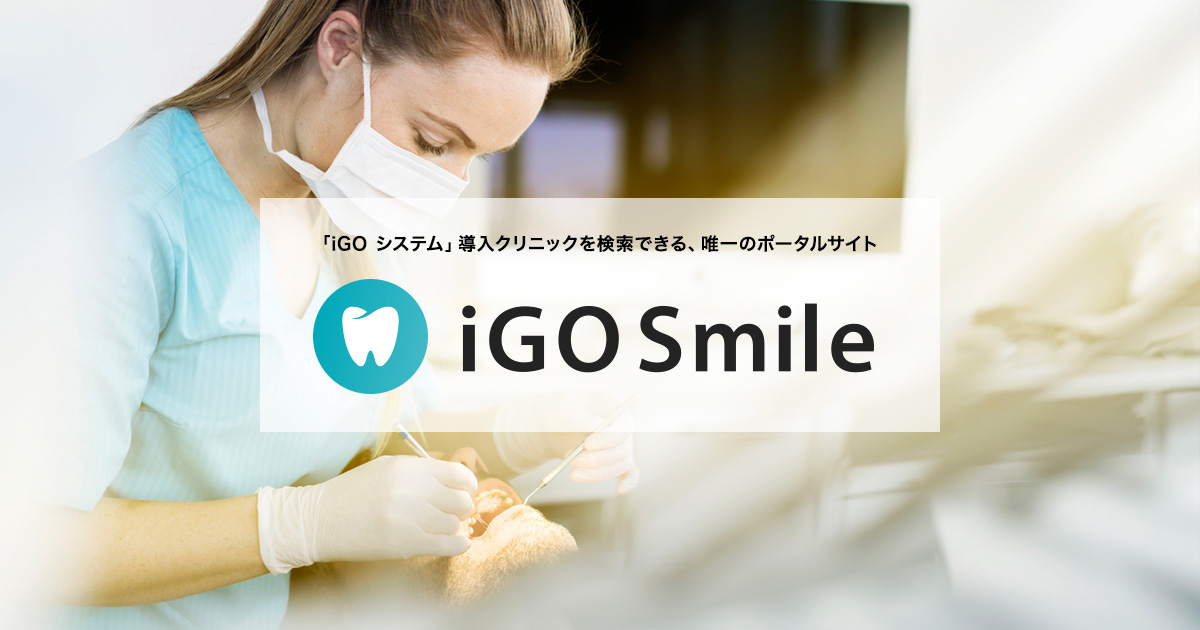 『iGOシステム』とは？ | iGO Smile